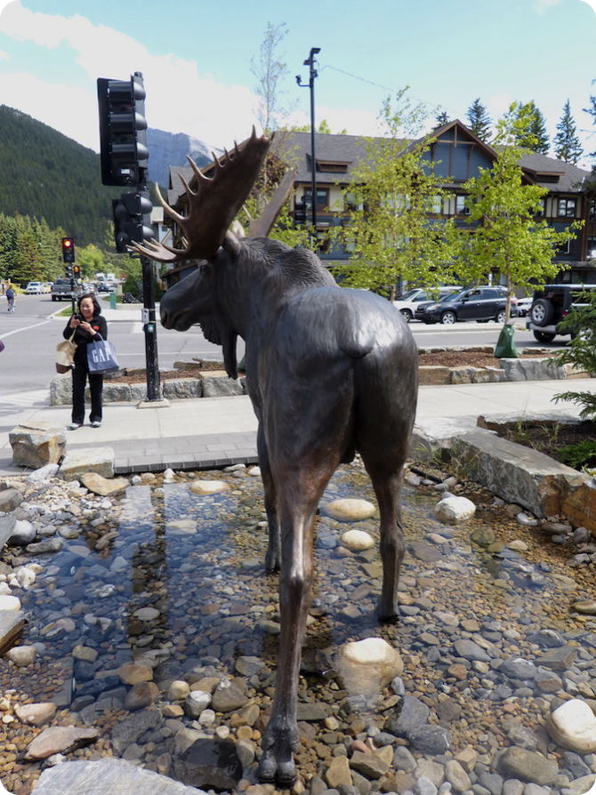 Bull Moose, Bronze Statue | Tom Hjorleifson